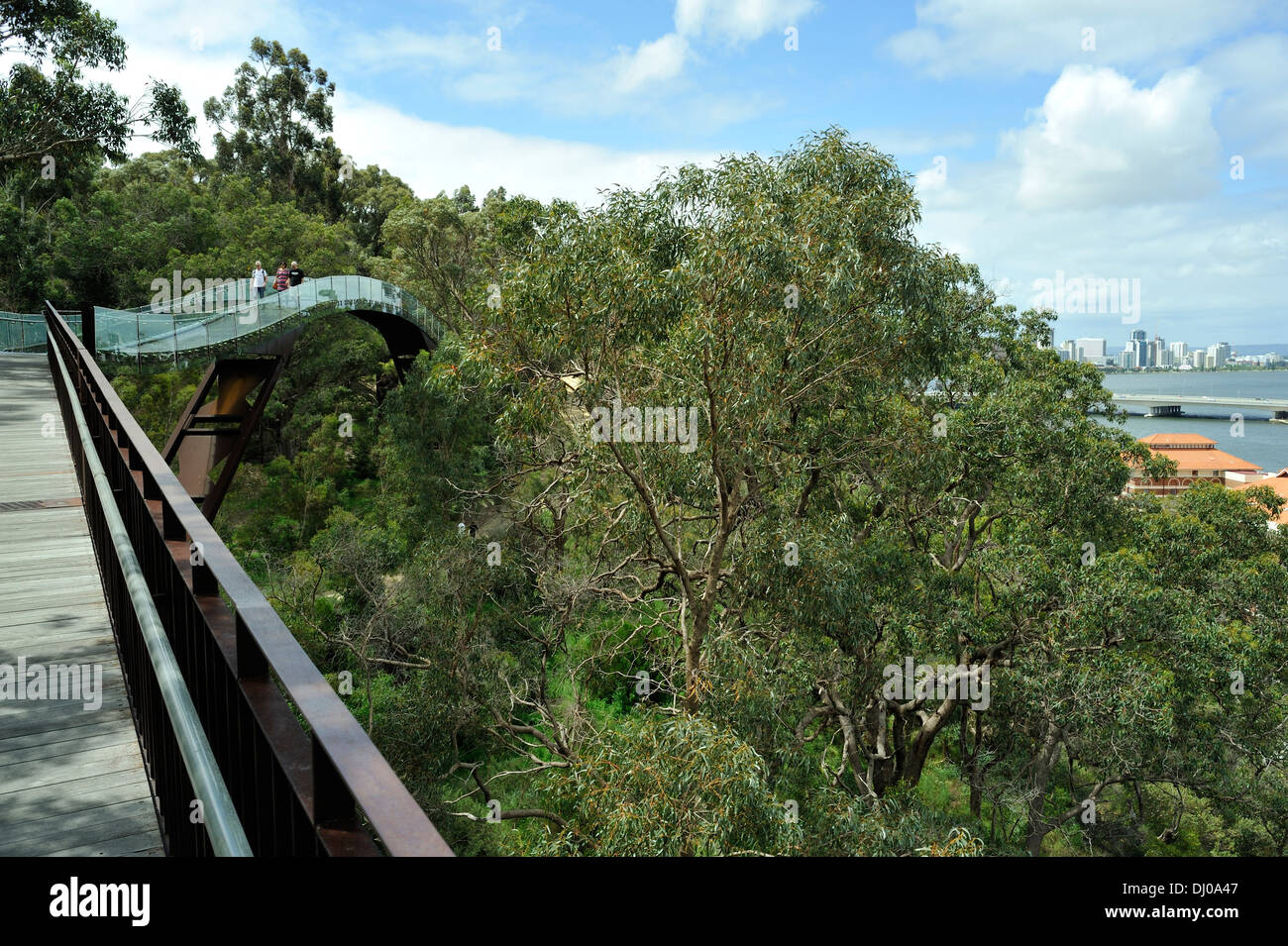 Elevated section of the King's Park Federation Walkway. Perth, Western ...