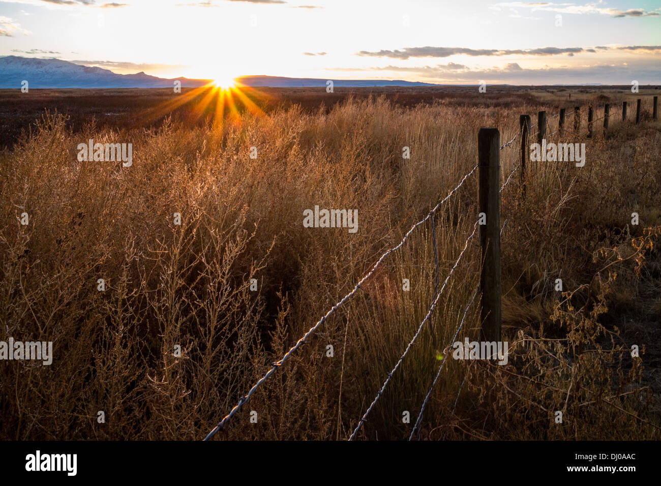 Sunset over cattle ranch fence next to a wetland Stock Photo - Alamy