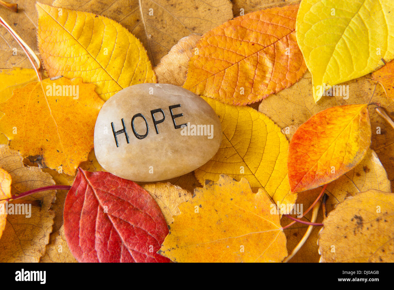 Hope message rock with colorful fall leaves Stock Photo - Alamy