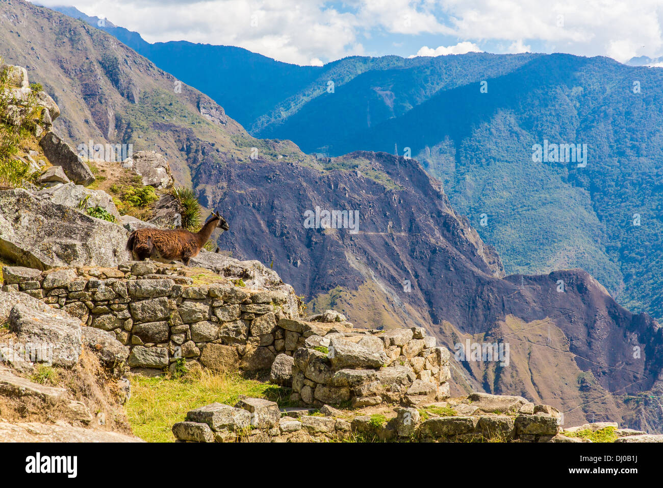 Mysterious city - Machu Picchu, Peru,South America. The Incan ruins and ...