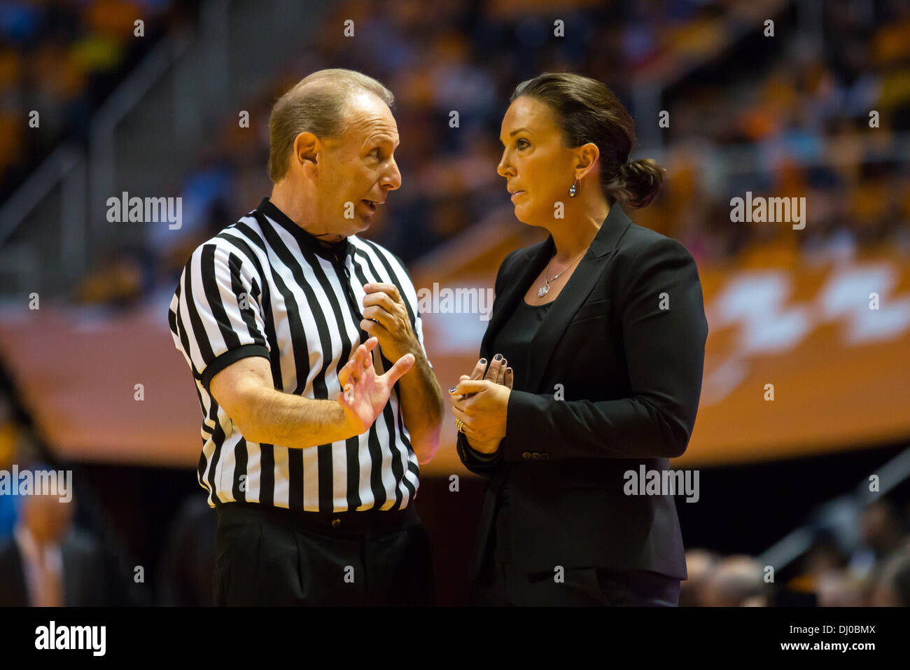 Knoxville, TN, USA. 17th Nov, 2013. November 17, 2013: Georgia Tech ...