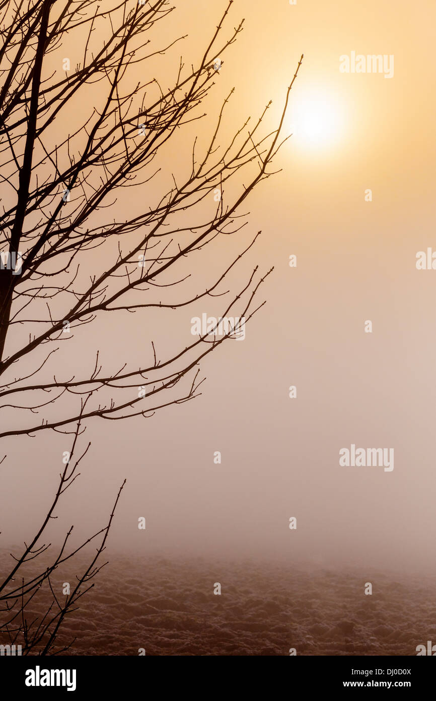 Warm tone scenery hi-res stock photography and images - Alamy