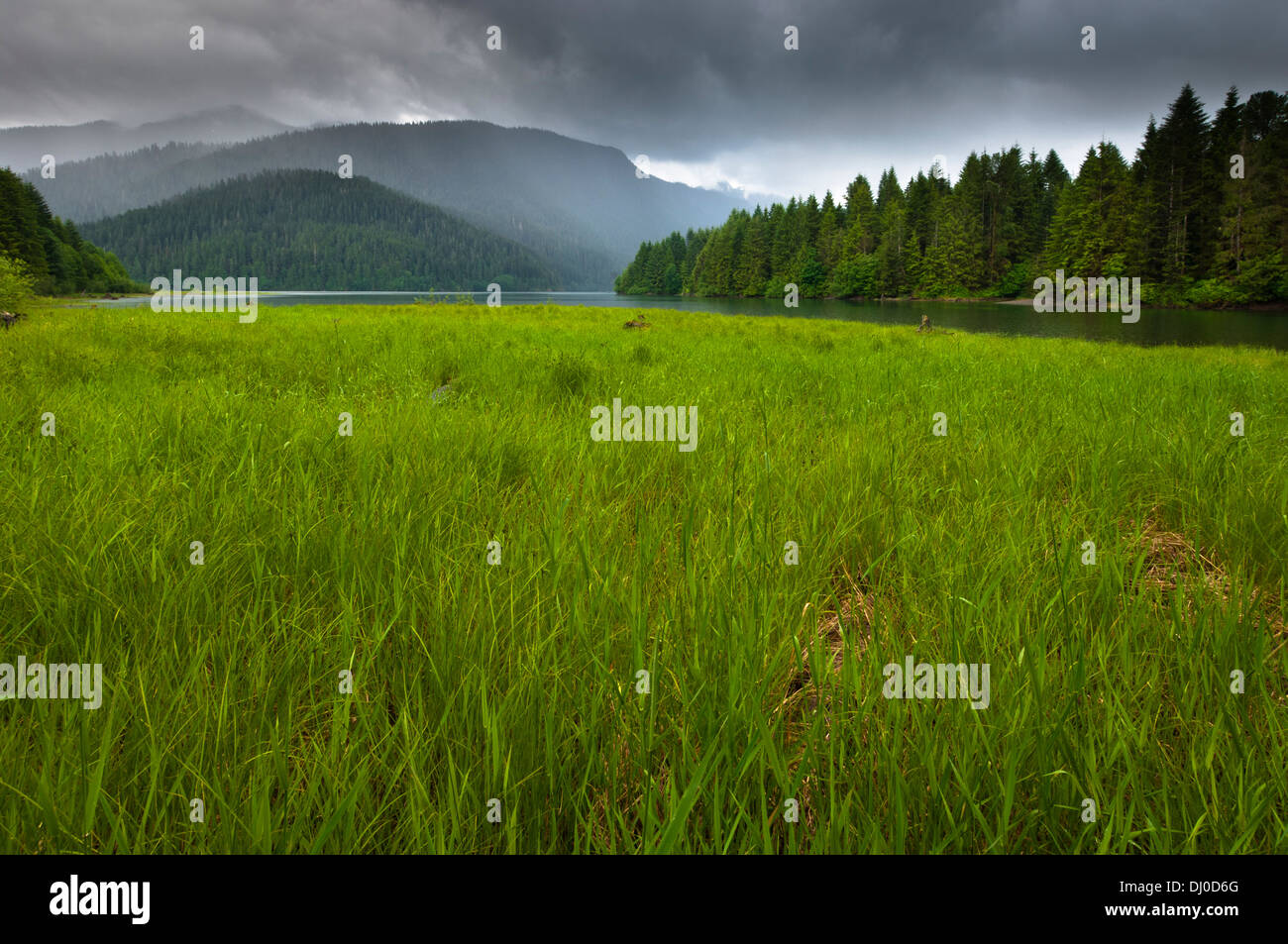 Stormy afternoon at Baker Lake, Mount Baker-Snoqualmie National Forest ...