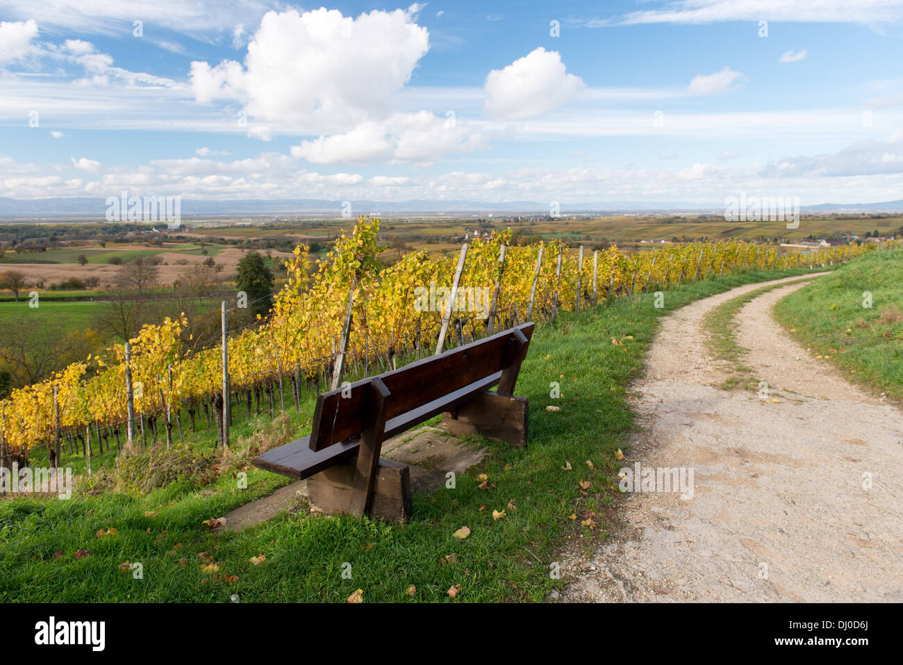 Vineyard landscape hi-res stock photography and images - Alamy