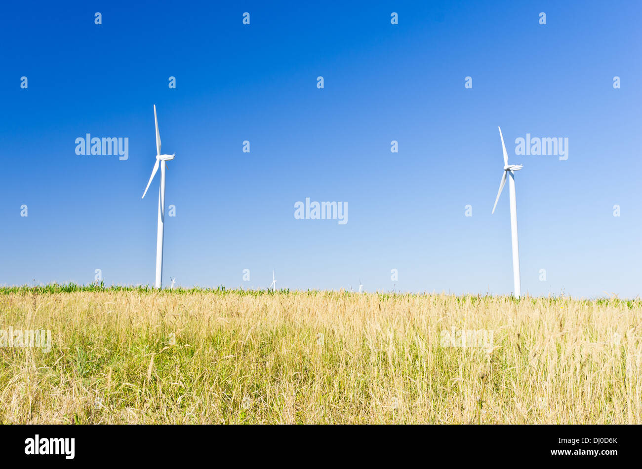 Modern windmills at flat land of Banat region Stock Photo - Alamy