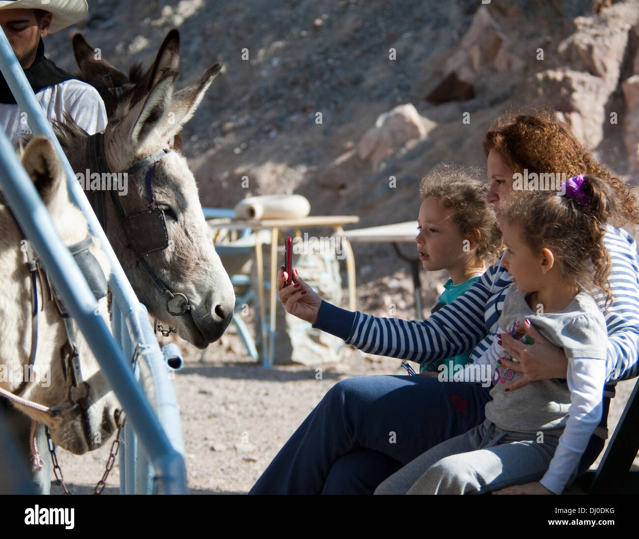 Family Visit Donkey Farm Stock Photo - Alamy