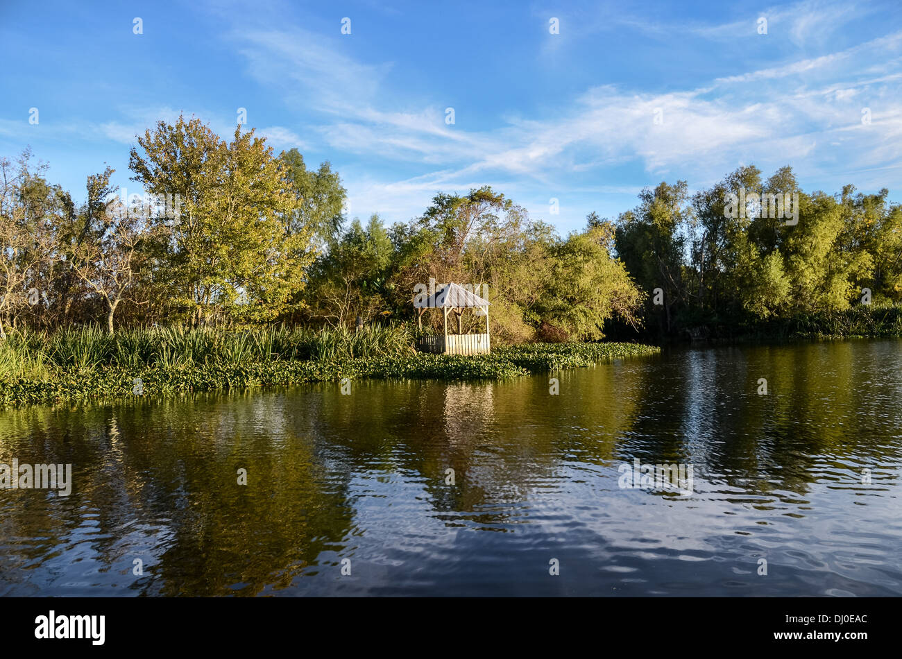 Swamp tour louisiana bayou hi-res stock photography and images - Alamy
