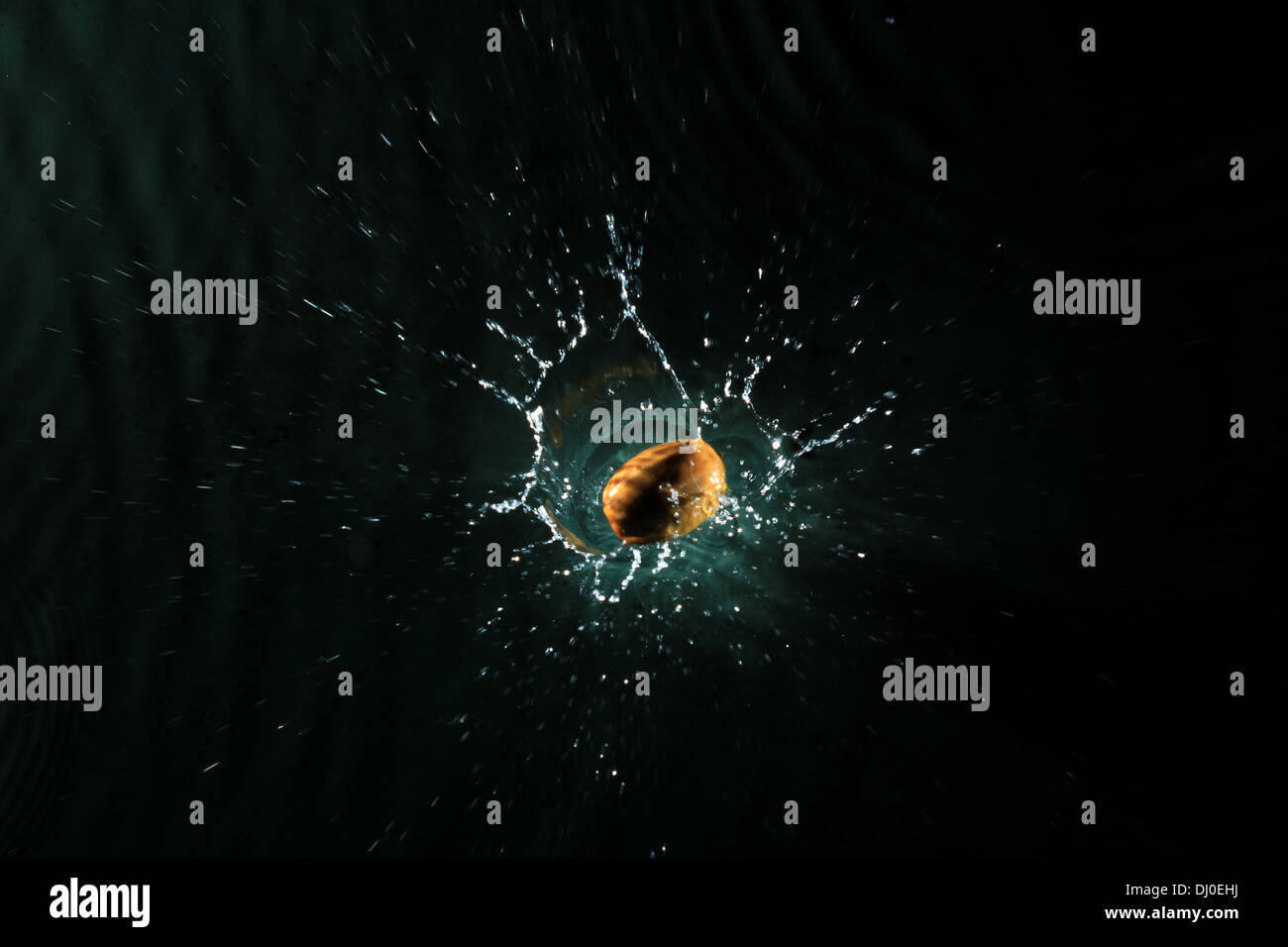 Acorn landing in water Stock Photo - Alamy