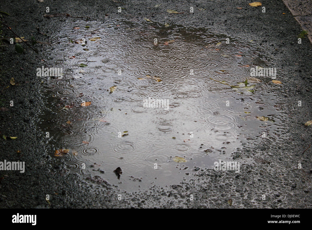 Puddle rain hi-res stock photography and images - Alamy