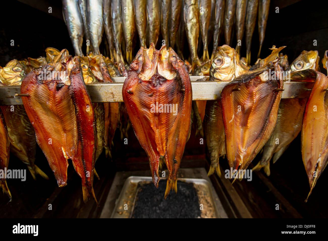 Kippers in a traditional smokehouse at the annual herring festival in ...