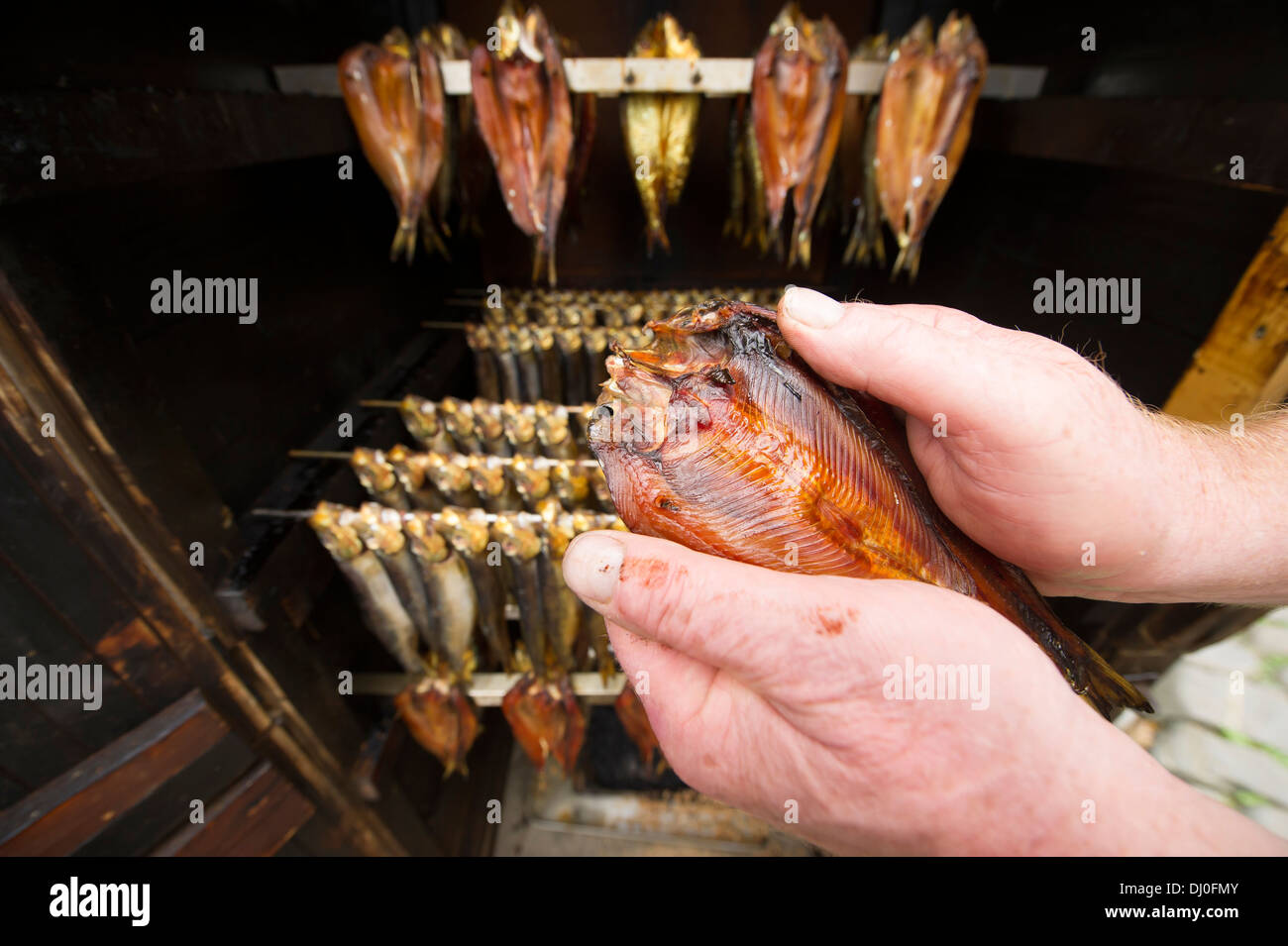 Raw kippers hi-res stock photography and images - Alamy