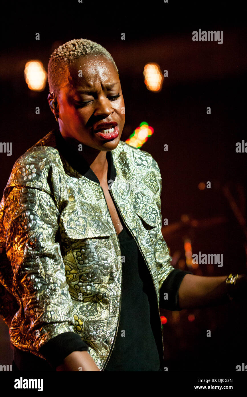 Detroit, Michigan, USA. 17th Nov, 2013. Singer NOELLE SCAGGS of Fitz ...