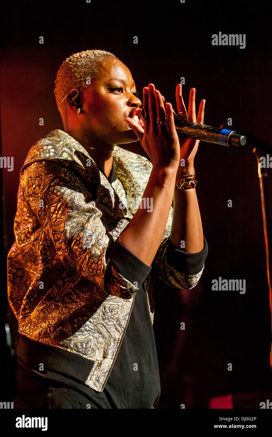 Detroit, Michigan, USA. 17th Nov, 2013. Singer NOELLE SCAGGS of Fitz ...