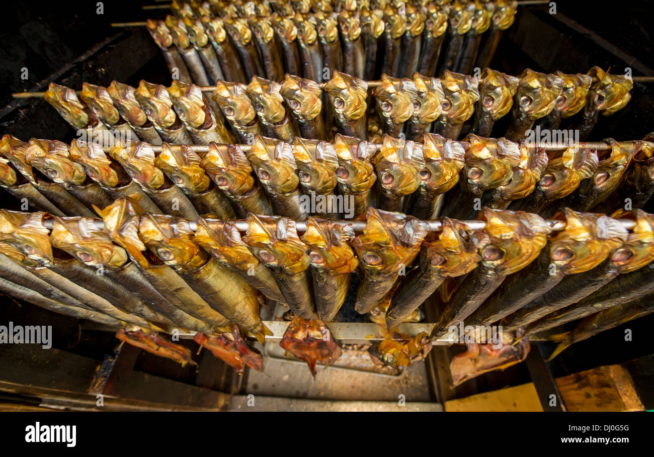 A traditional smokehouse full of herring at the annual herring festival ...