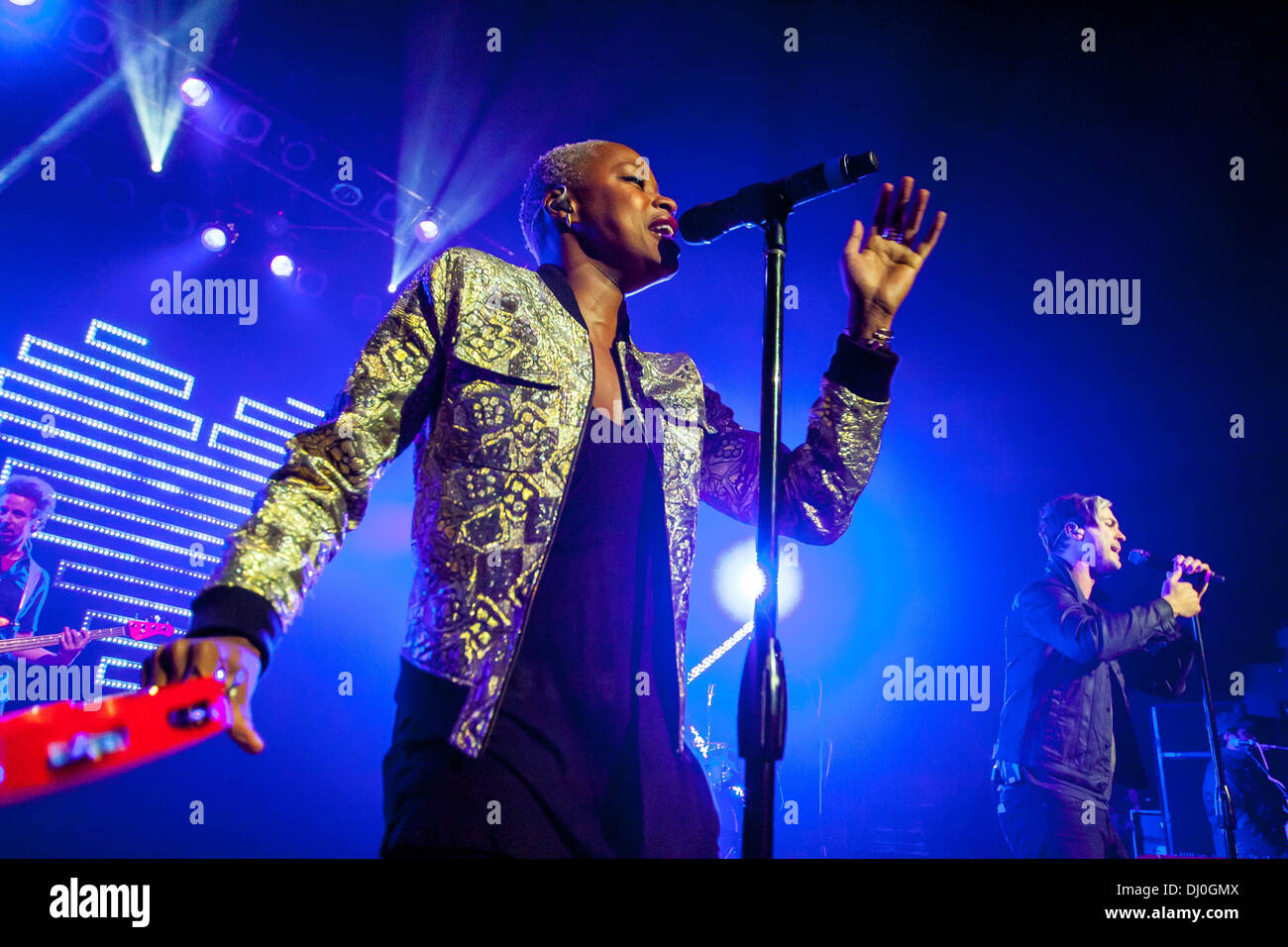 Detroit, Michigan, USA. 17th Nov, 2013. Singer NOELLE SCAGGS of Fitz ...