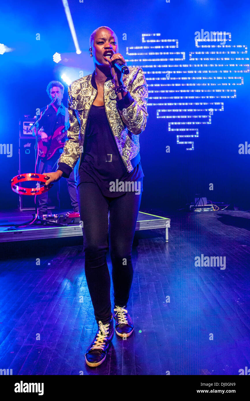 Detroit, Michigan, USA. 17th Nov, 2013. Singer NOELLE SCAGGS of Fitz ...