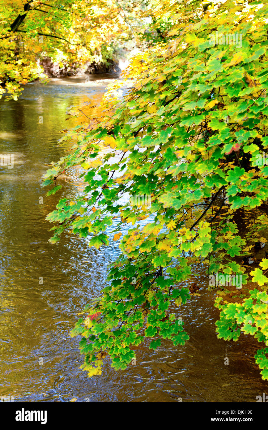 autumn landscape with a river and trees Stock Photo - Alamy