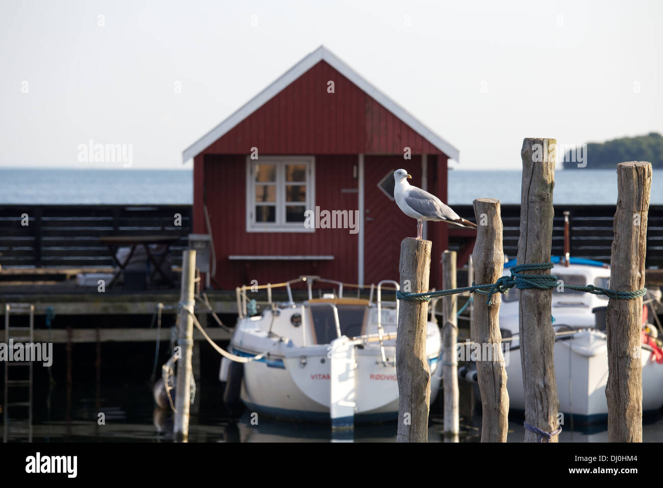 Rodvig High Resolution Stock Photography and Images - Alamy