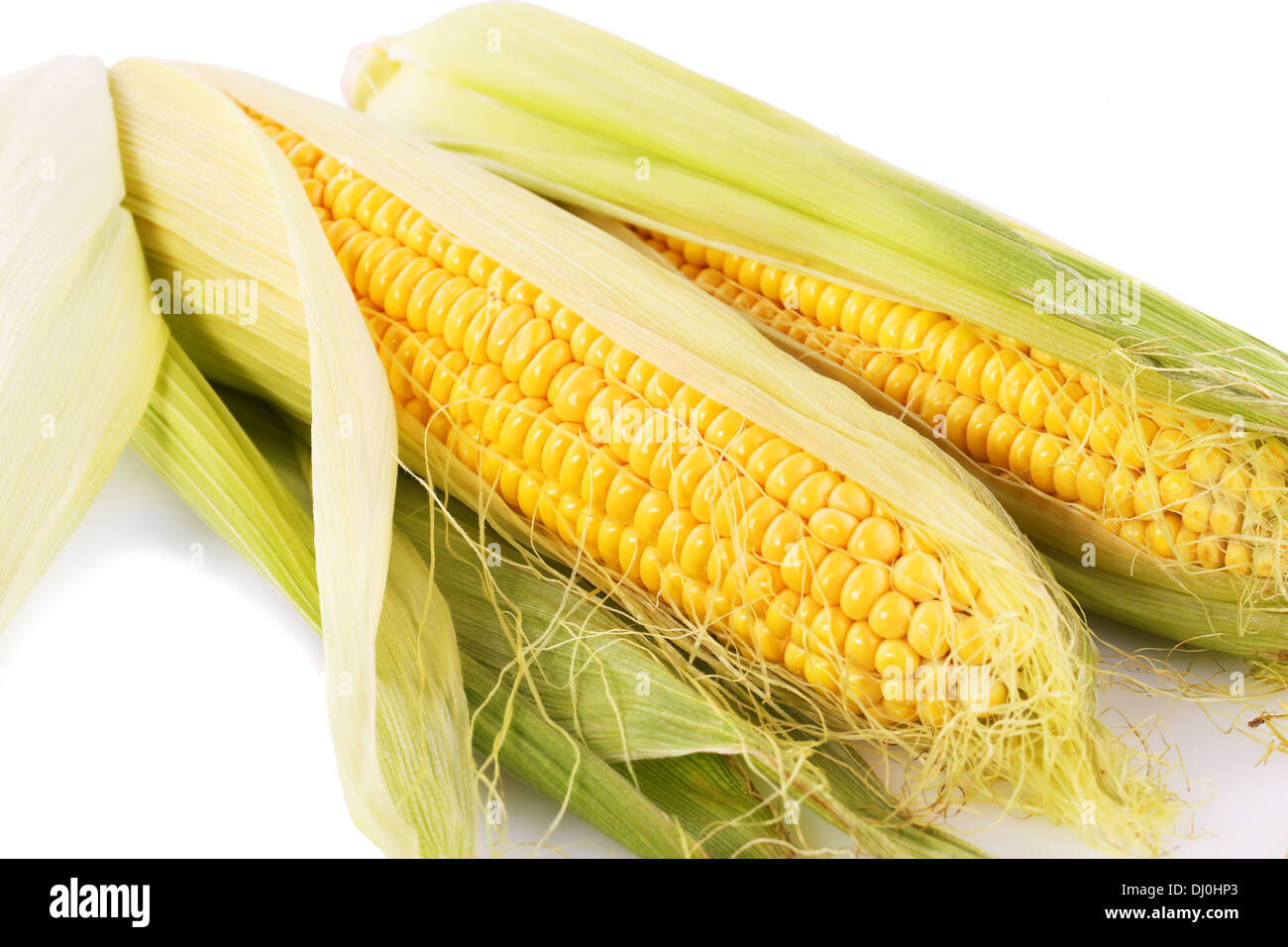 Corn cobs isolated on white background Stock Photo - Alamy