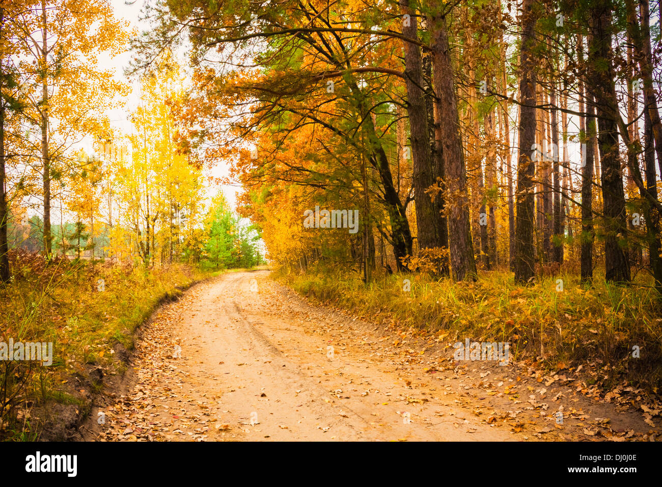 Yellow pathway hi-res stock photography and images - Alamy