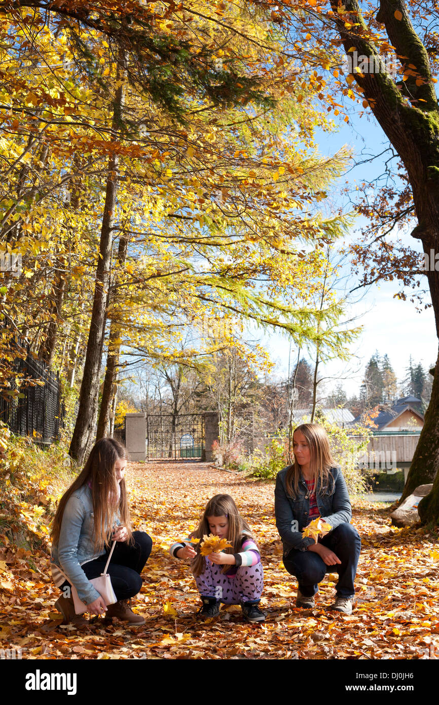 Family collecting fallen autumn leaves Stock Photo - Alamy