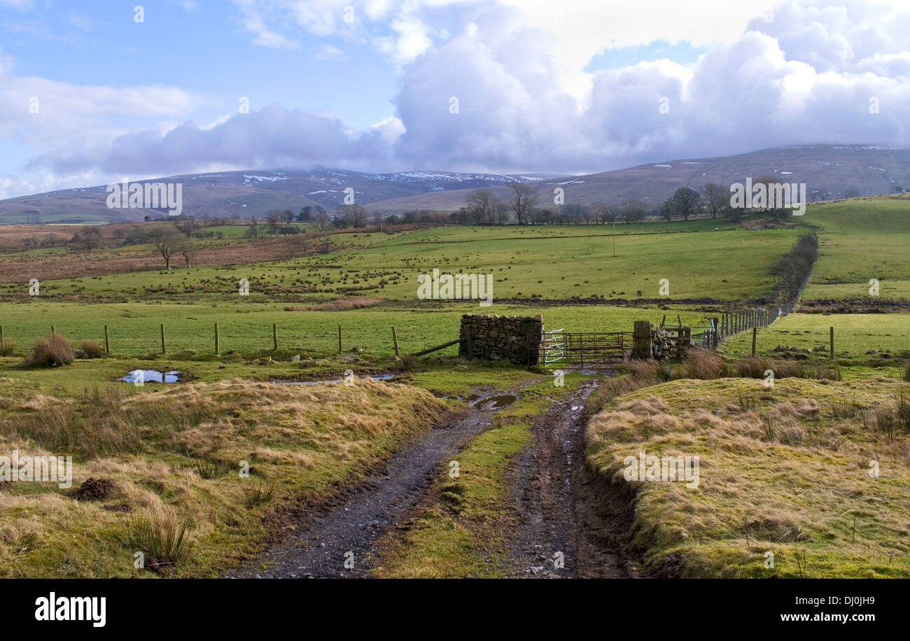 Rushes field farm uk hi-res stock photography and images - Alamy