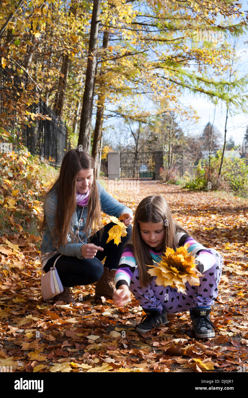 Girl collecting fallen autumn leaves Stock Photo - Alamy