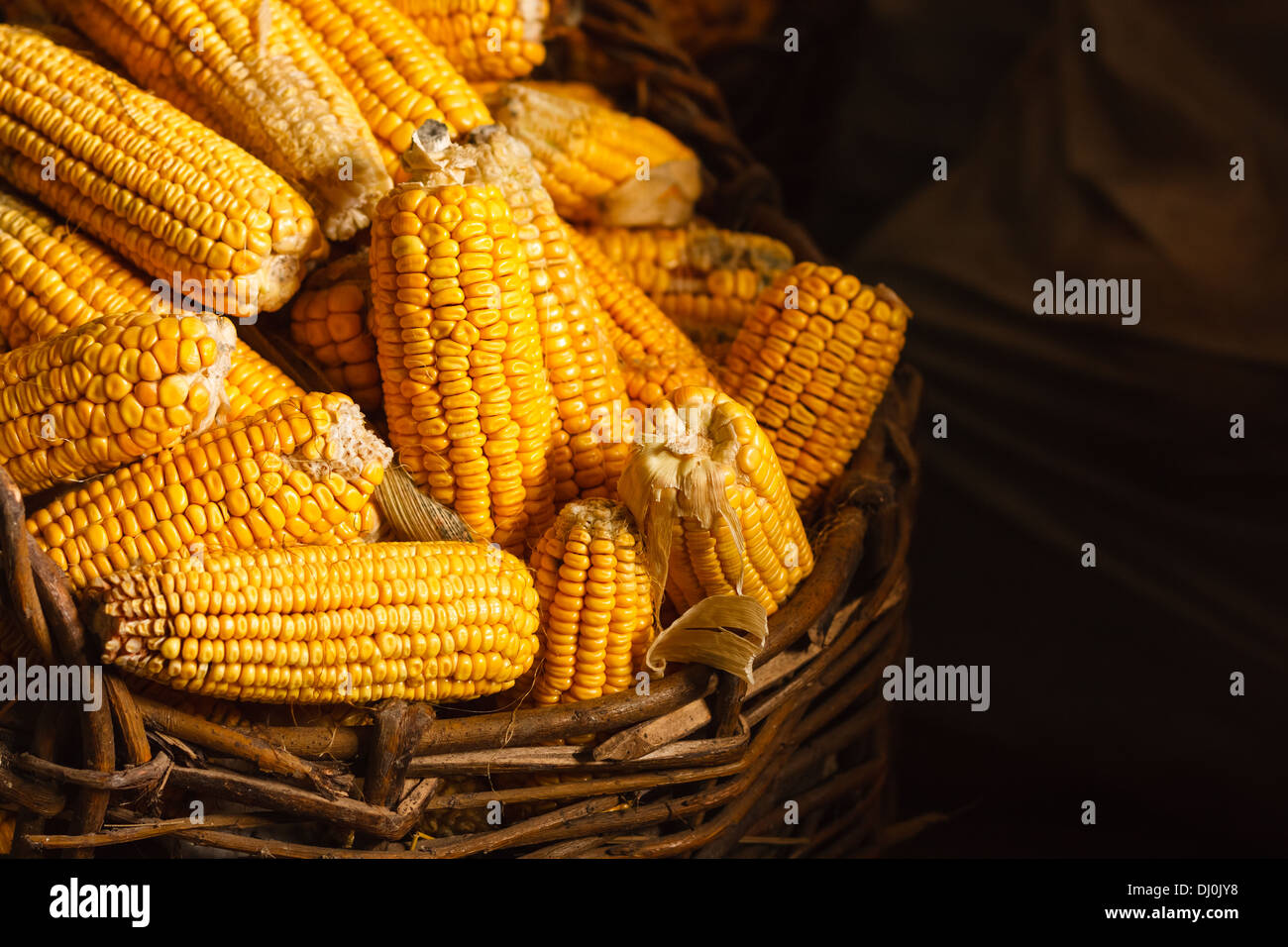 Fresh Yellow Corn in Basket on the dark background. Harvest ...