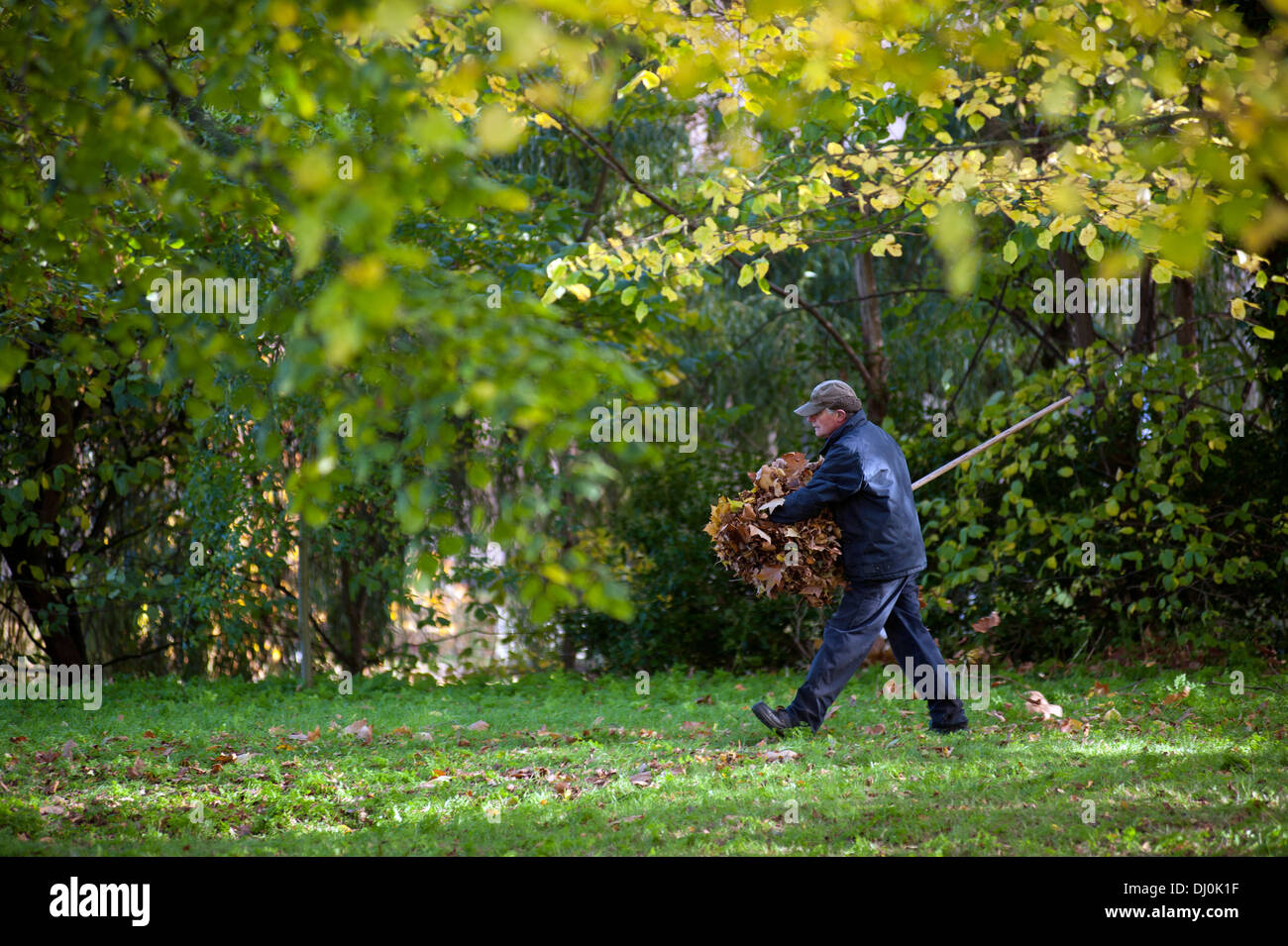 Autumn Colours in grounds of King's College, Cambridge, England. 15 11 ...