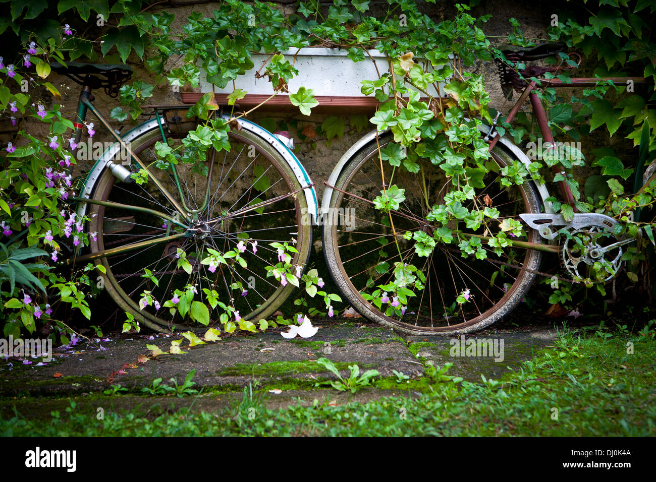 Old bikes hi-res stock photography and images - Alamy