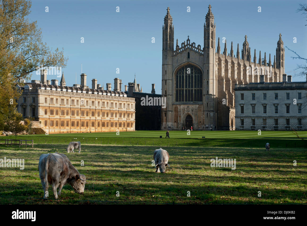 Cambridge, England. Autumn in the University city of Cambridge, England ...