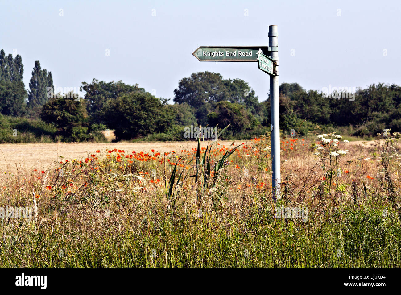signpost, wheat field behind with line of poppies Stock Photo - Alamy