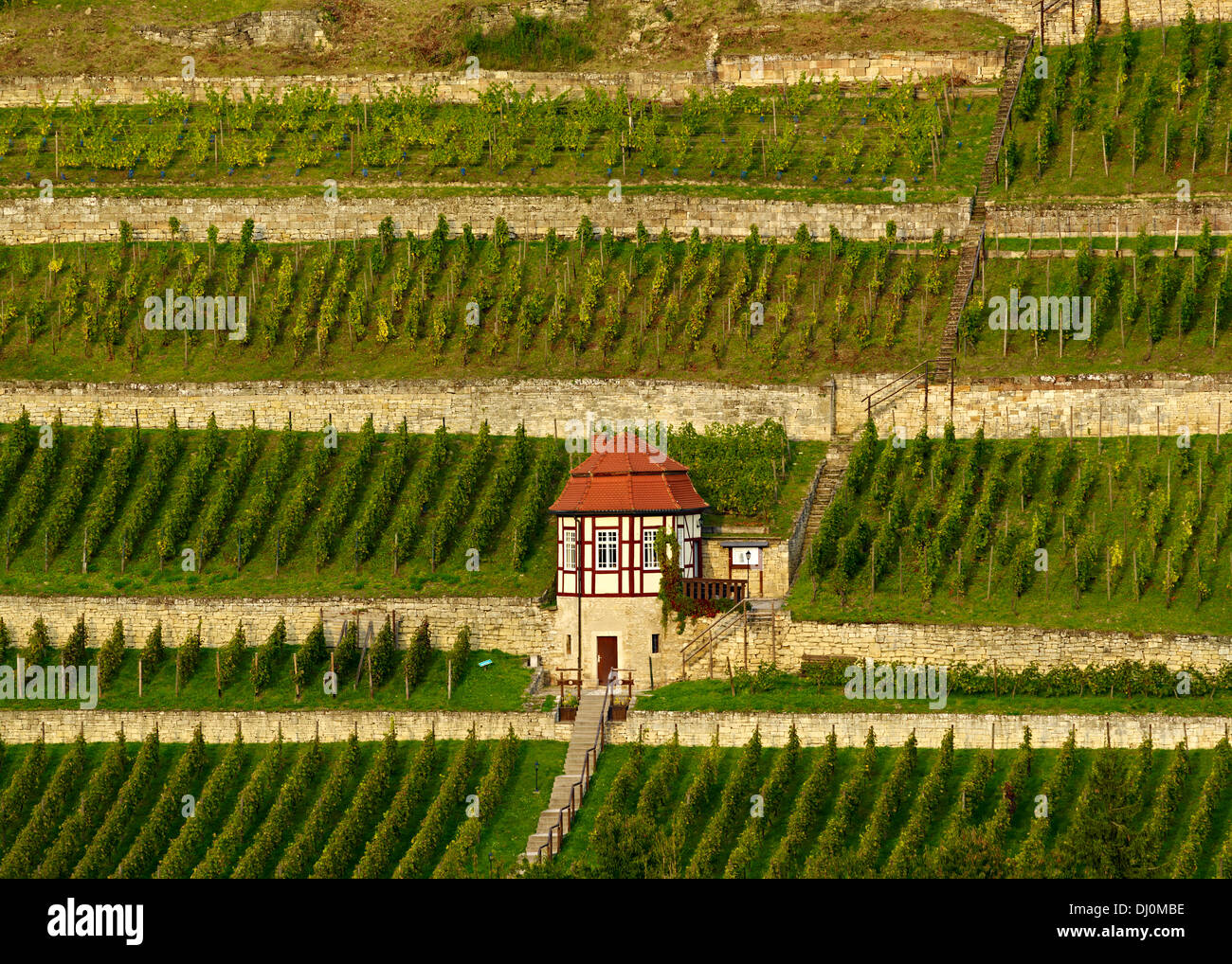 Neuenburg castle with vineyard hi-res stock photography and images - Alamy
