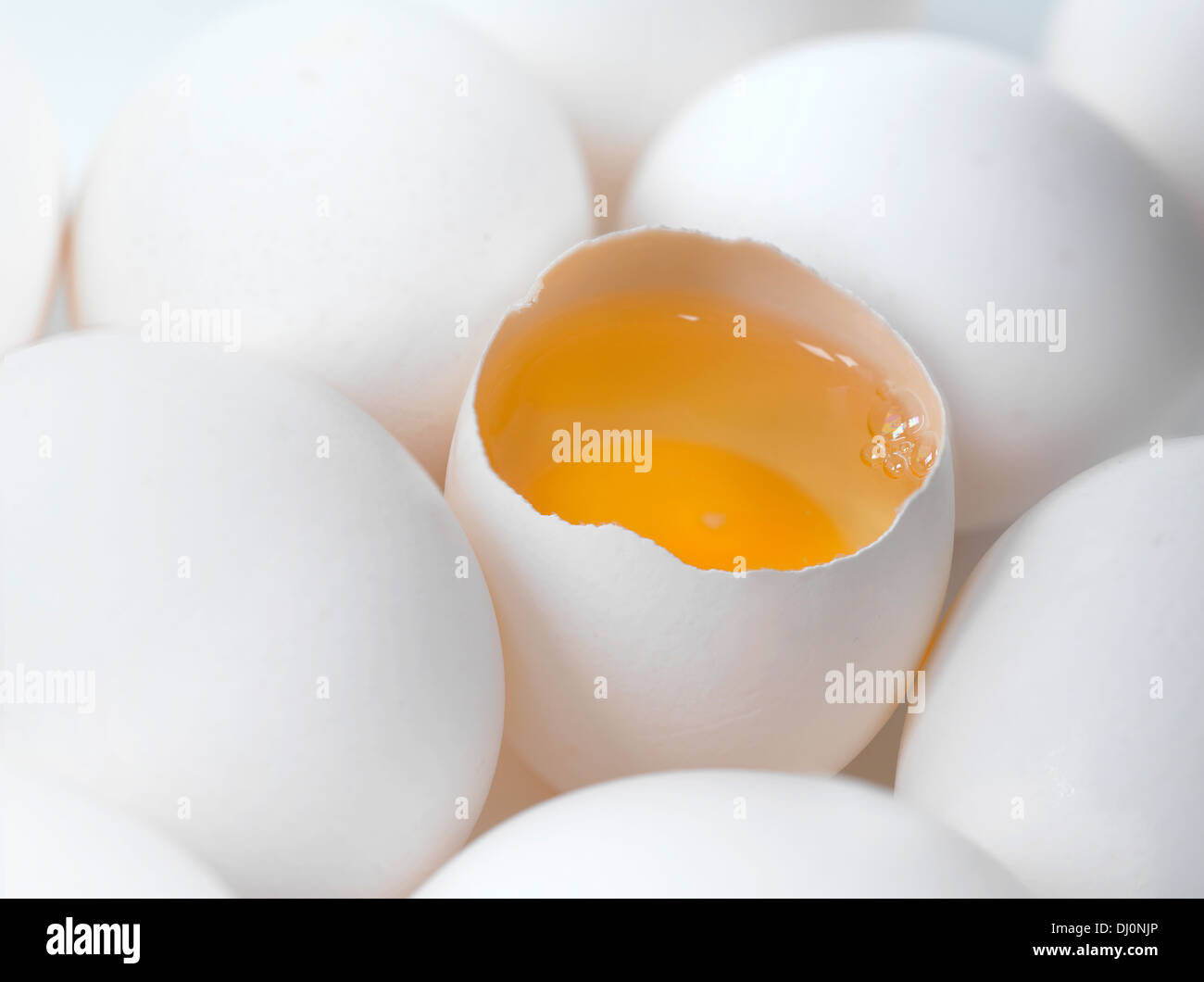 Open chicken hi-res stock photography and images - Alamy