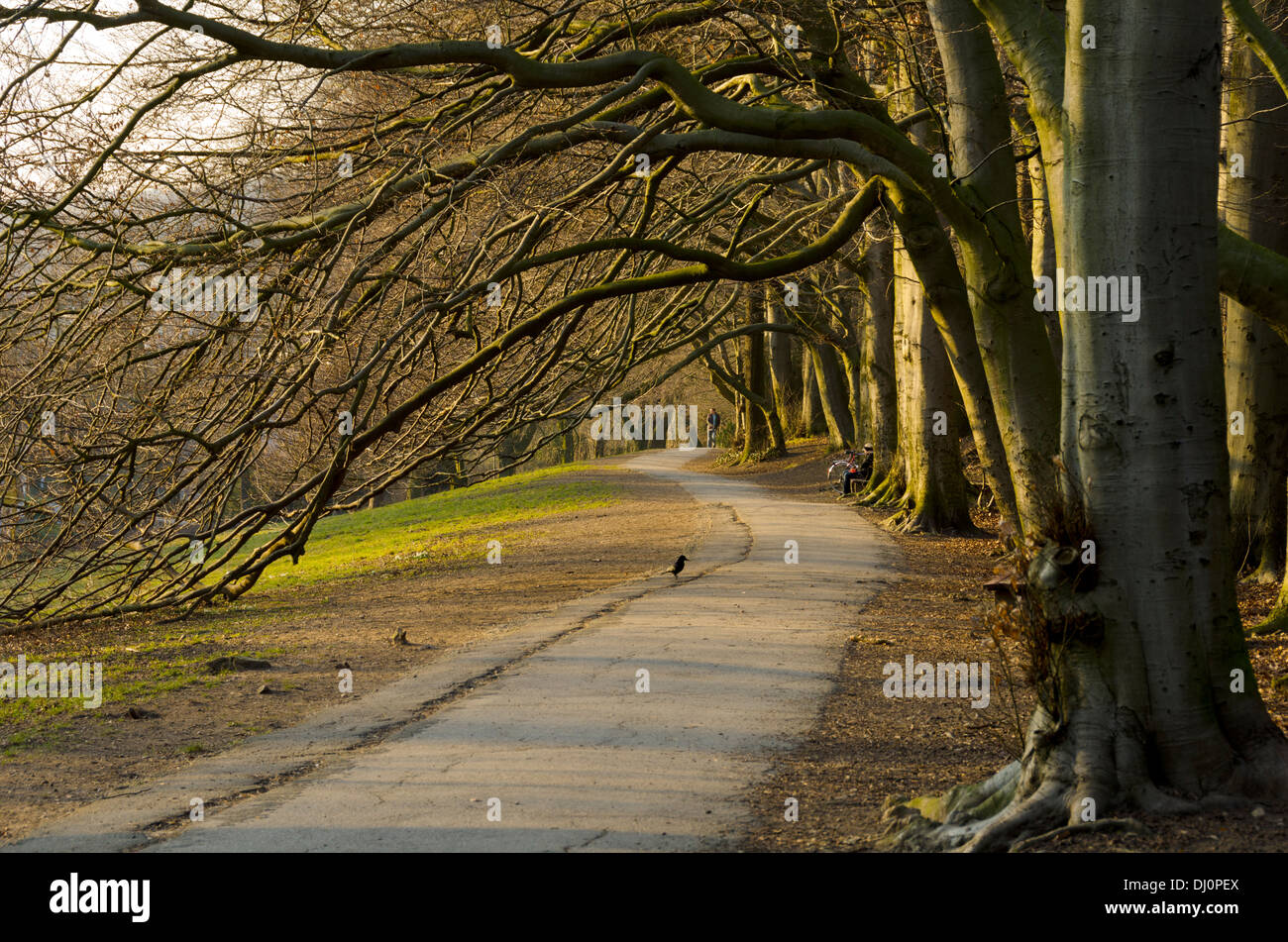 Promenade wanderweg hi-res stock photography and images - Alamy
