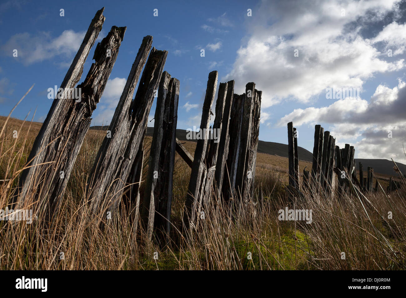 Low angle view of decayed, rotting wooden fence posts; Rotten Railway ...