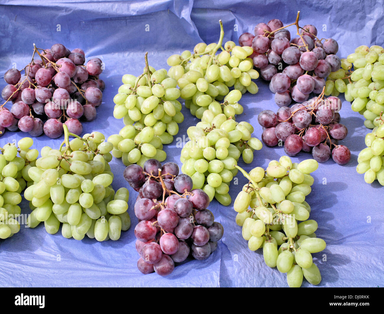 The grapes london hi-res stock photography and images - Alamy