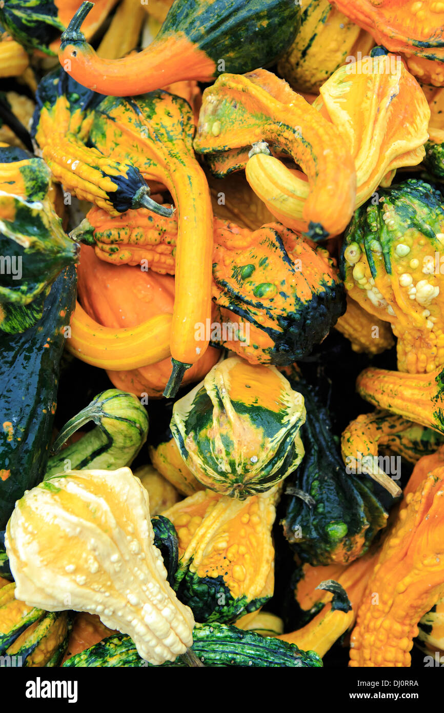 Shot box hi-res stock photography and images - Alamy