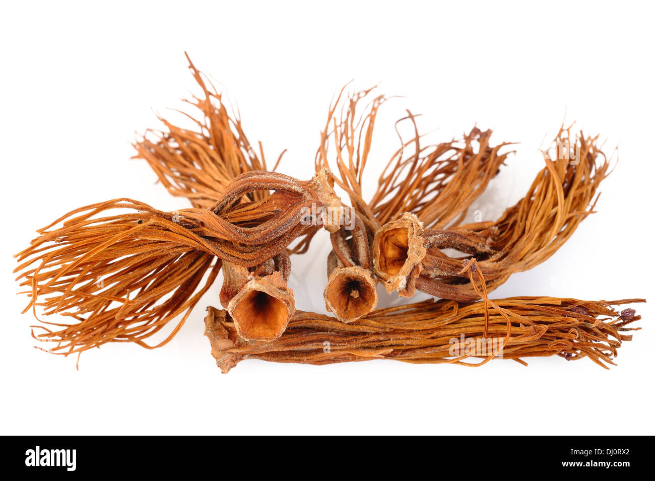 Bombax hi-res stock photography and images - Alamy