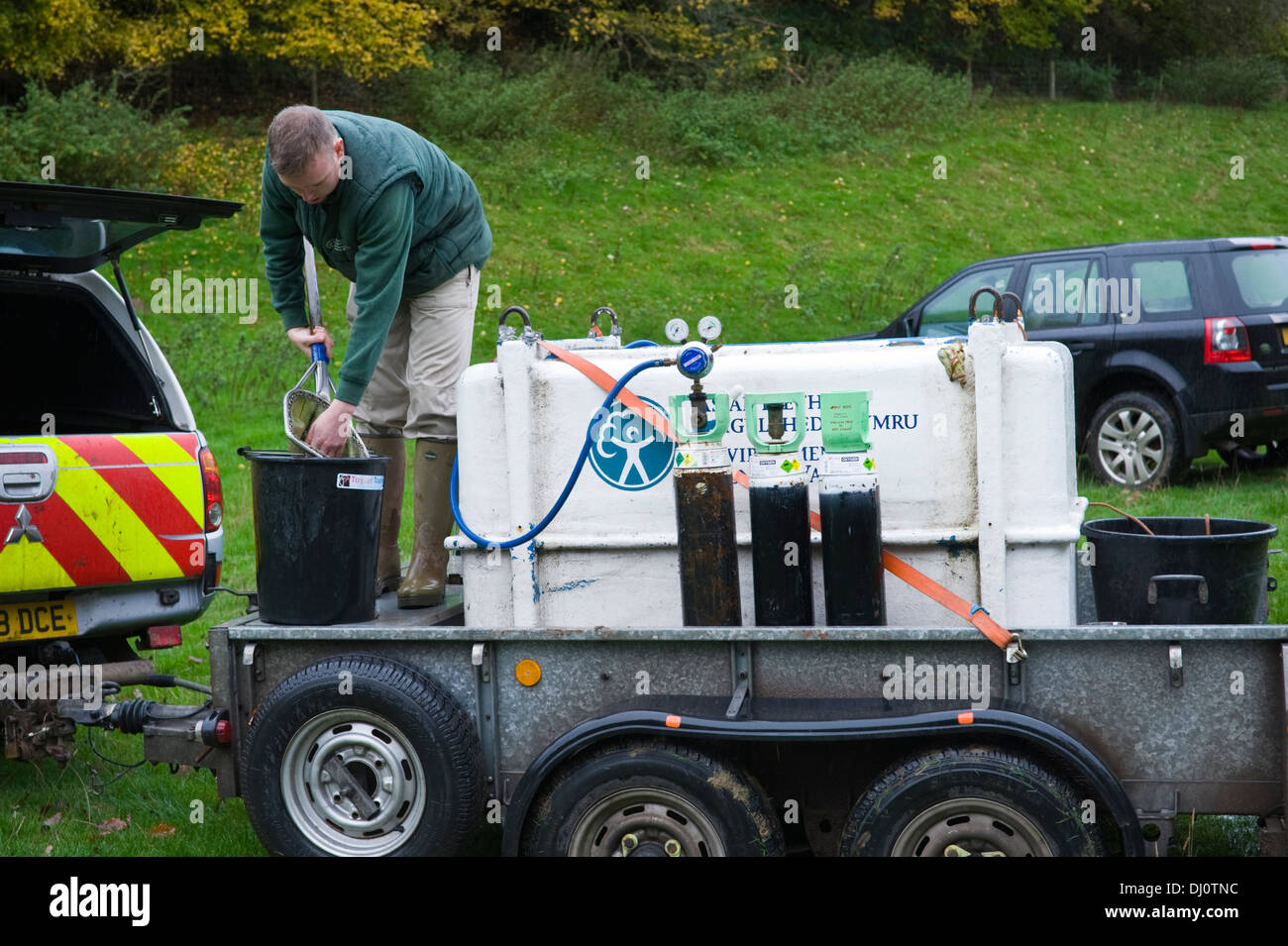 Atlantic salmon parr fish hi-res stock photography and images - Alamy