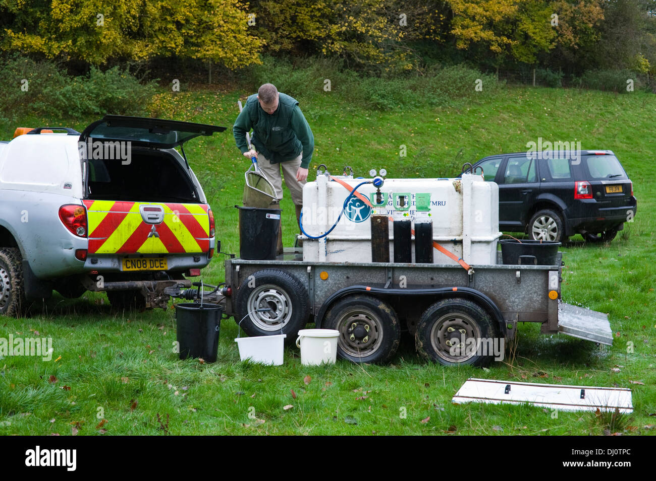 Atlantic salmon parr fish hi-res stock photography and images - Alamy