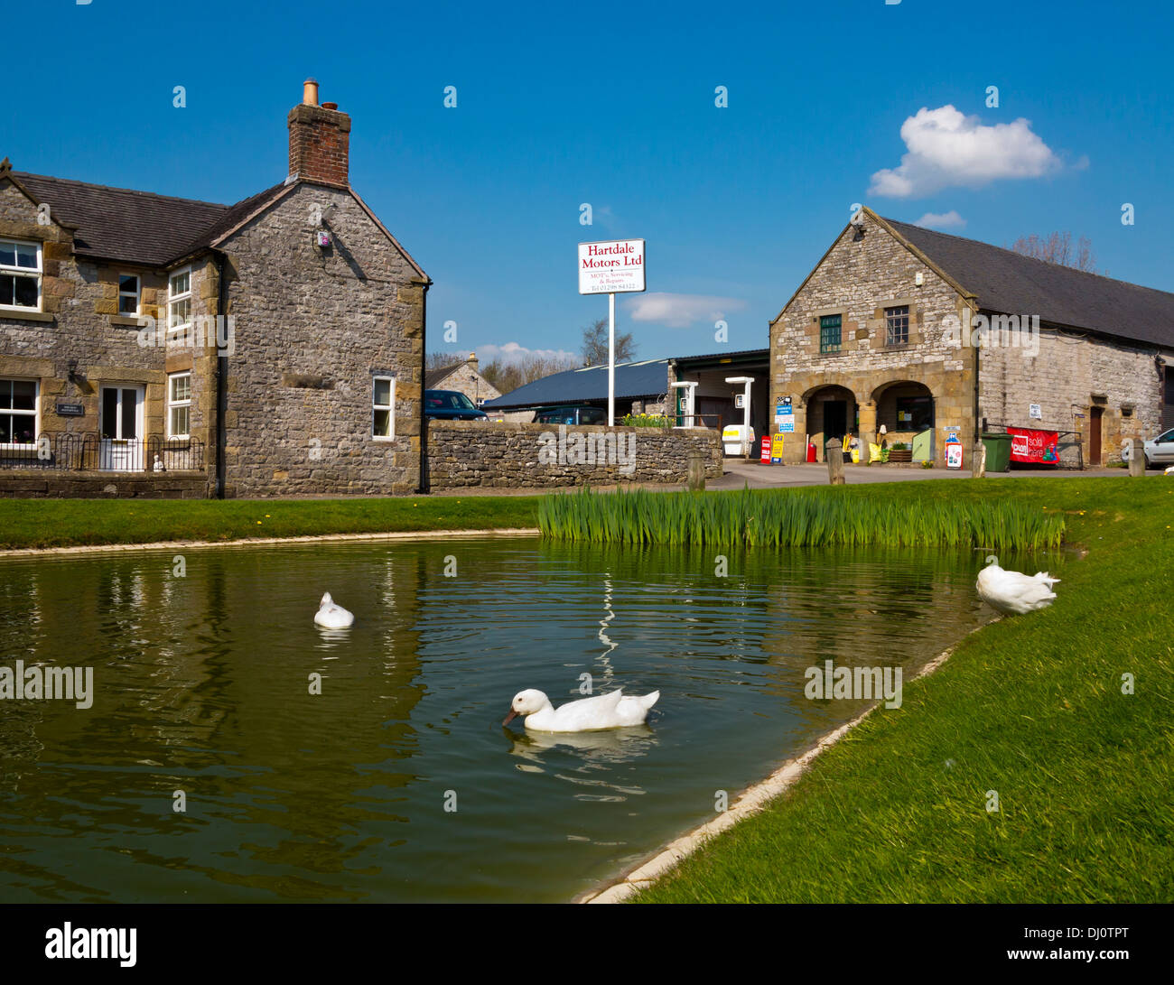 Village duck hi-res stock photography and images - Alamy