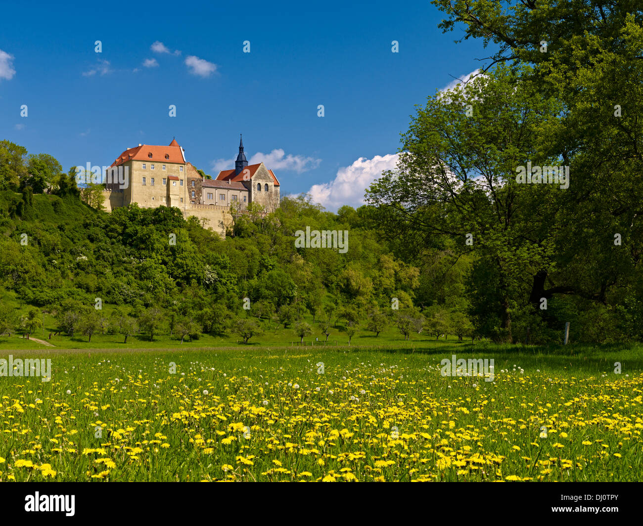 Goseck hi-res stock photography and images - Alamy