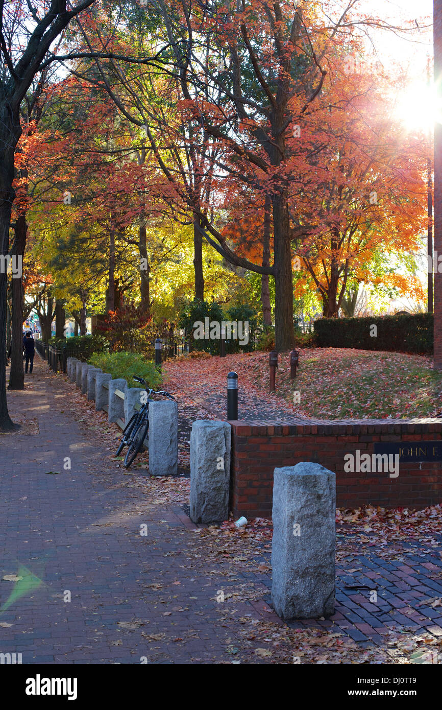 Harvard kennedy school building hi-res stock photography and images - Alamy