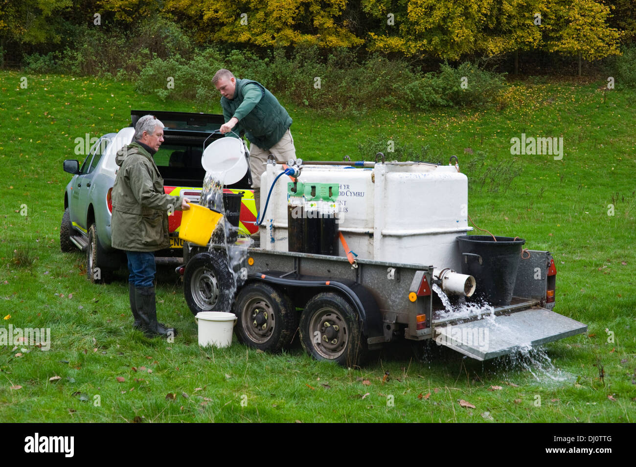 Atlantic salmon parr fish hi-res stock photography and images - Alamy