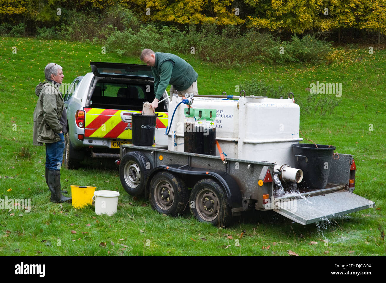 Atlantic salmon parr fish hi-res stock photography and images - Alamy