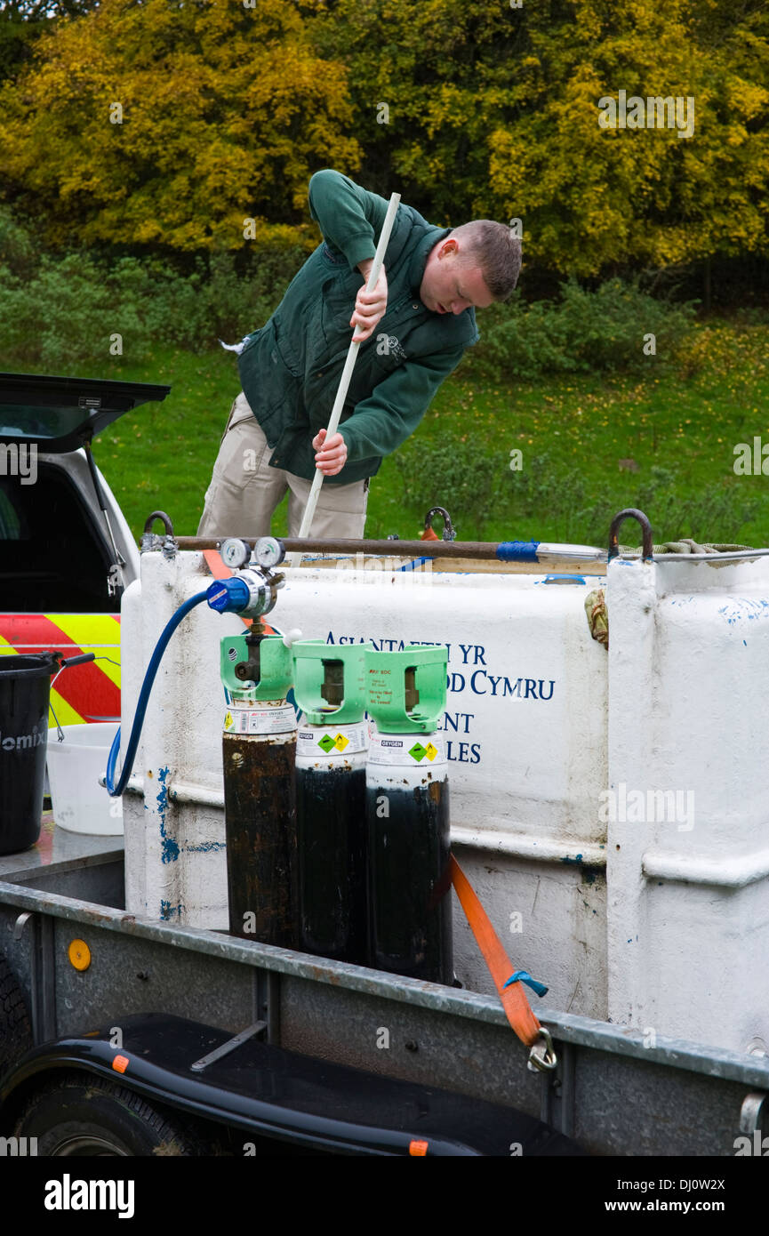 Atlantic salmon parr fish hi-res stock photography and images - Alamy