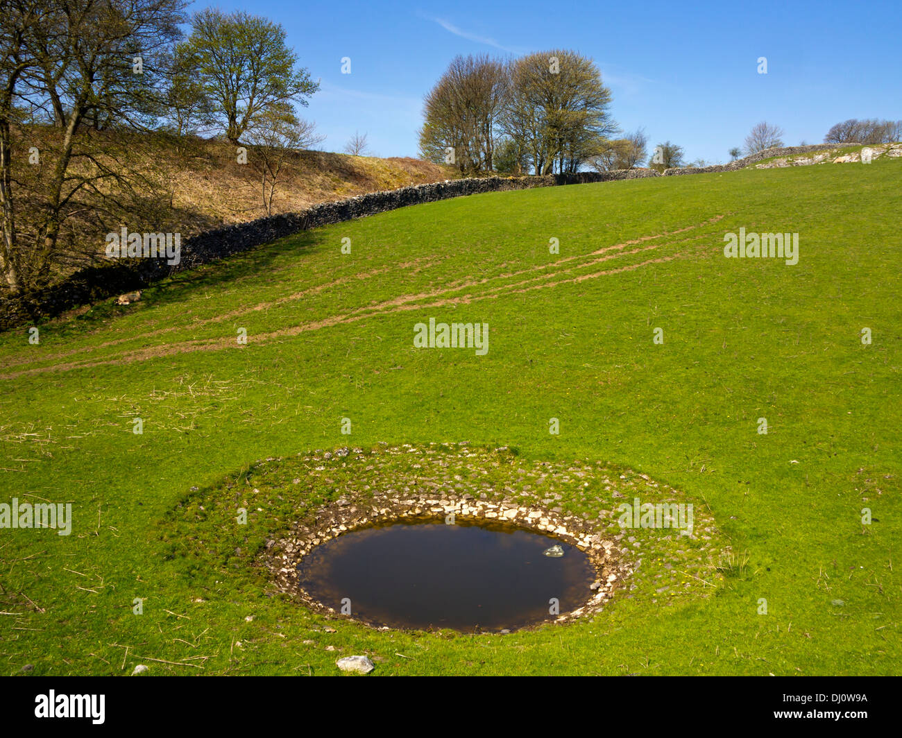 Dew pond used to supply drinking water to livestock on a farm near ...