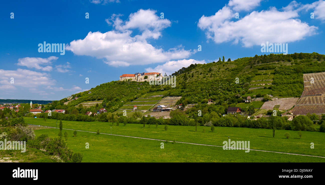 Neuenburg castle with vineyard hi-res stock photography and images - Alamy