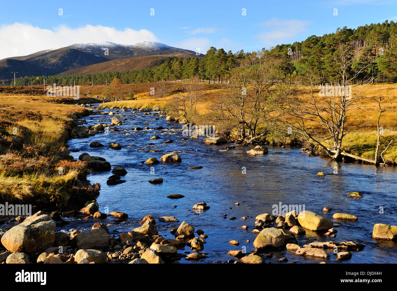 River Muick near Ballater, Aberdeenshire, Scotland Stock Photo - Alamy